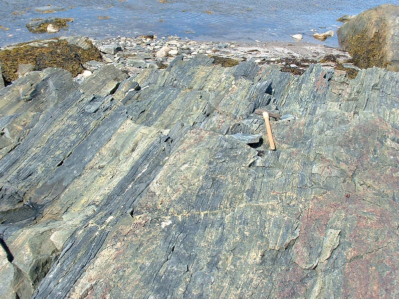 Labrador images | Institute of Geosciences